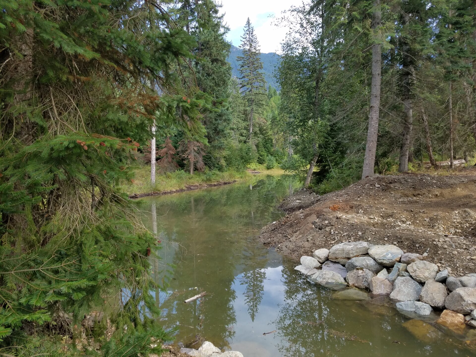 Projects - Rock & Pond