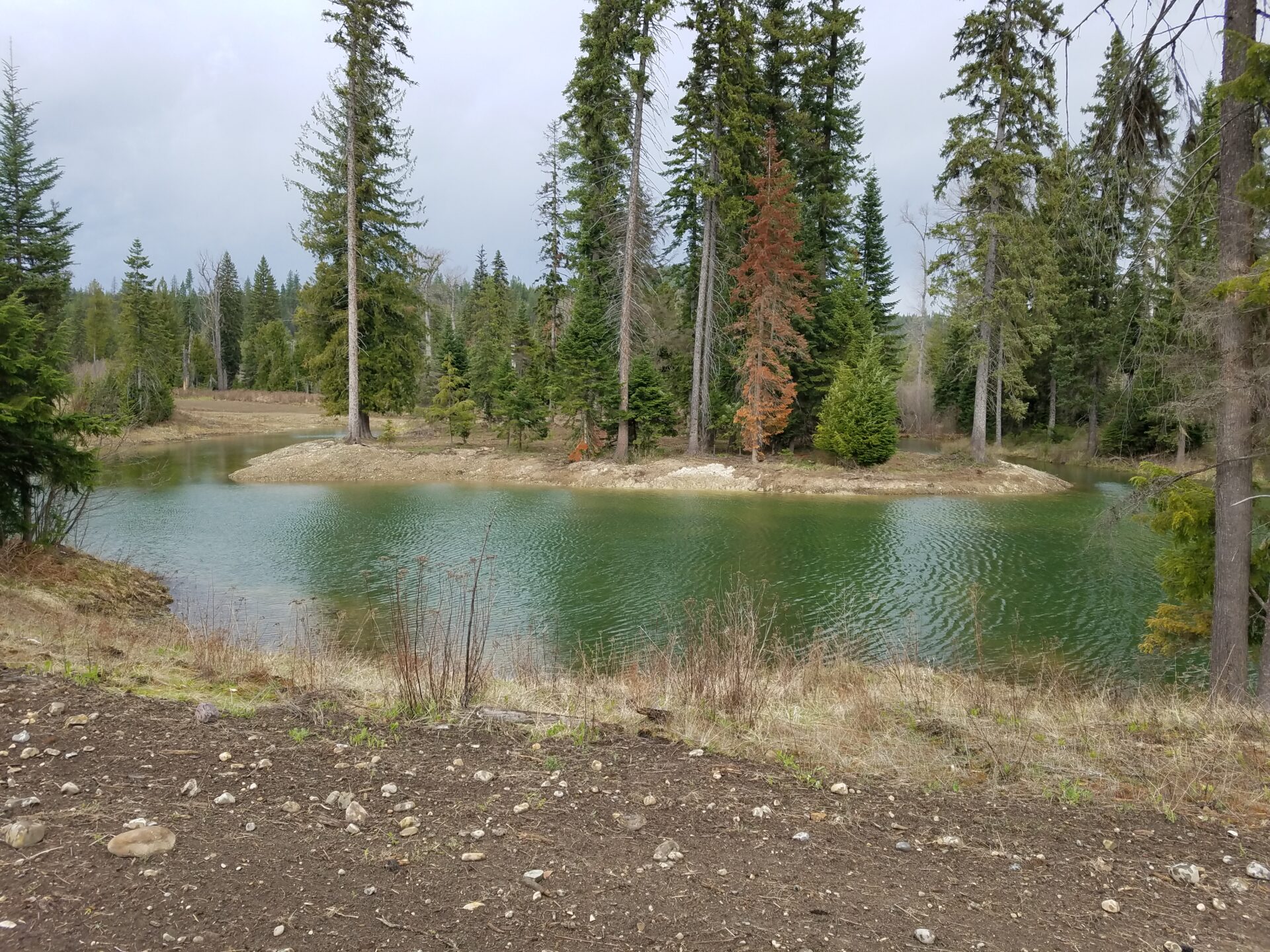Custom Ponds - Rock & Pond